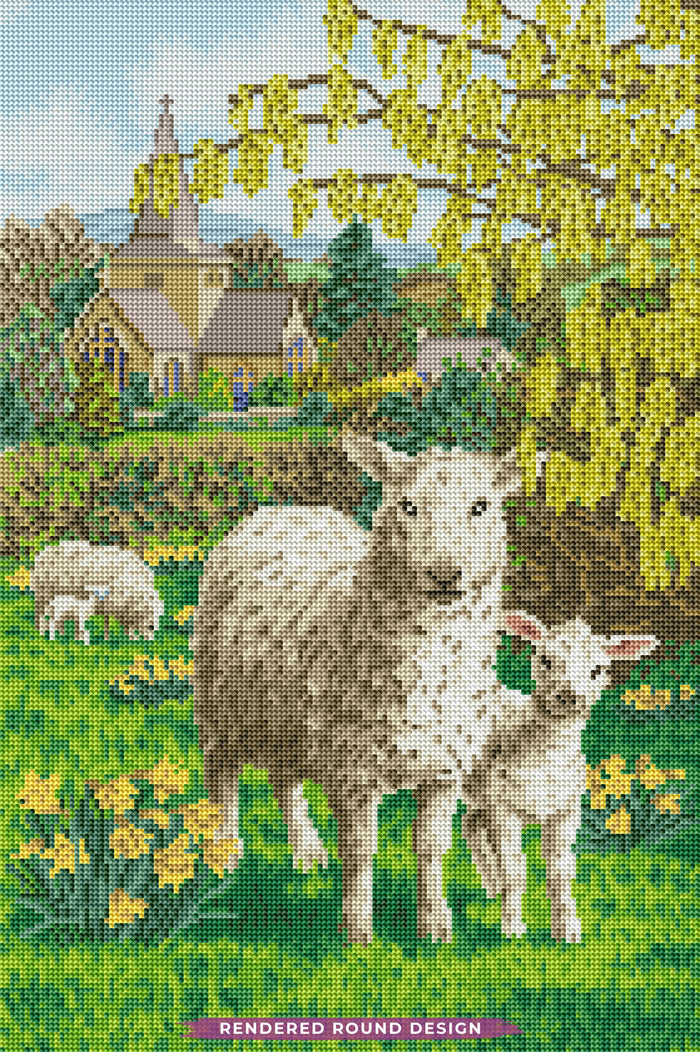 Fields of Grace