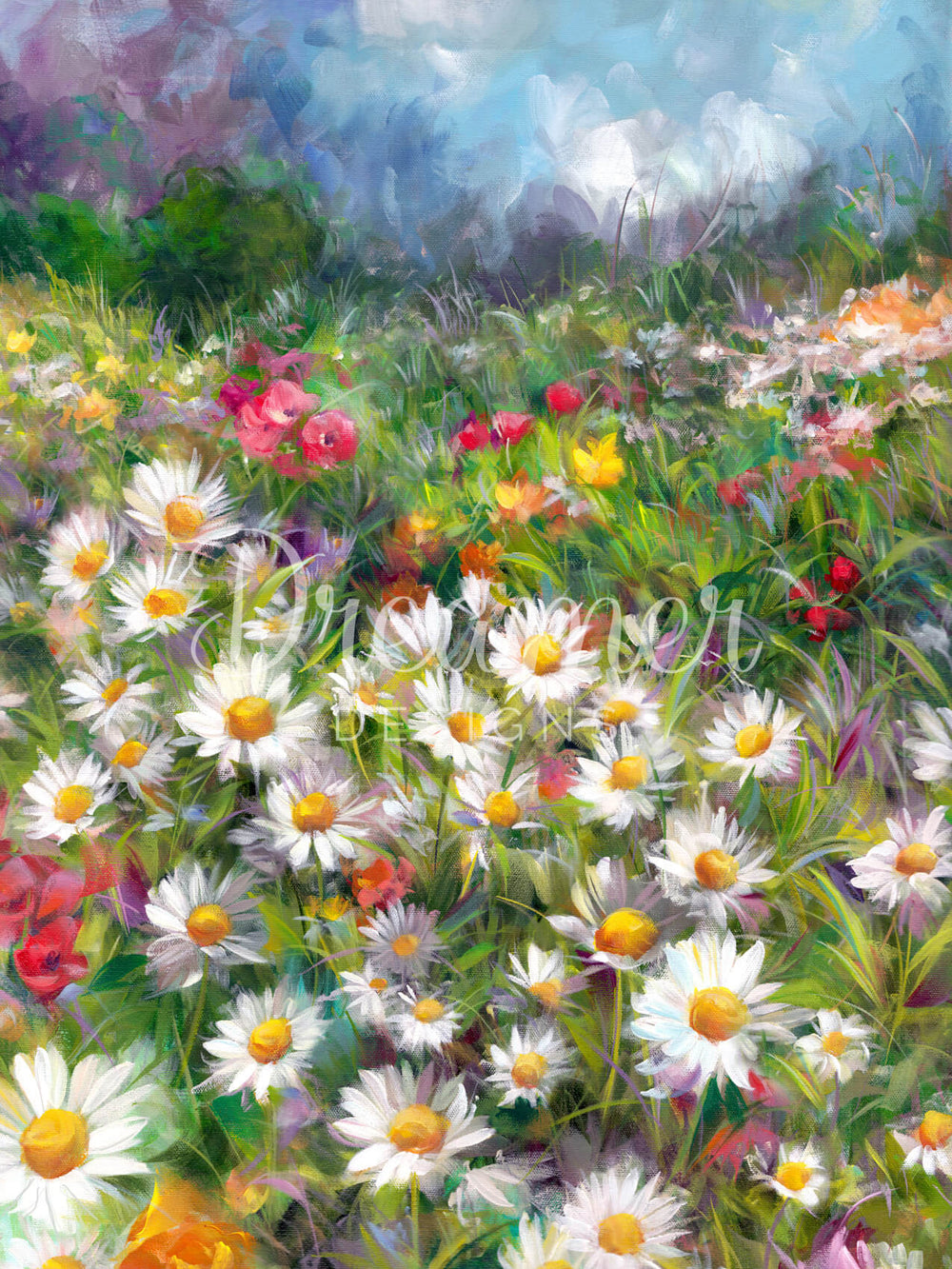 Daisy Meadow