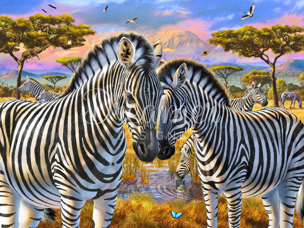 Loving Zebras