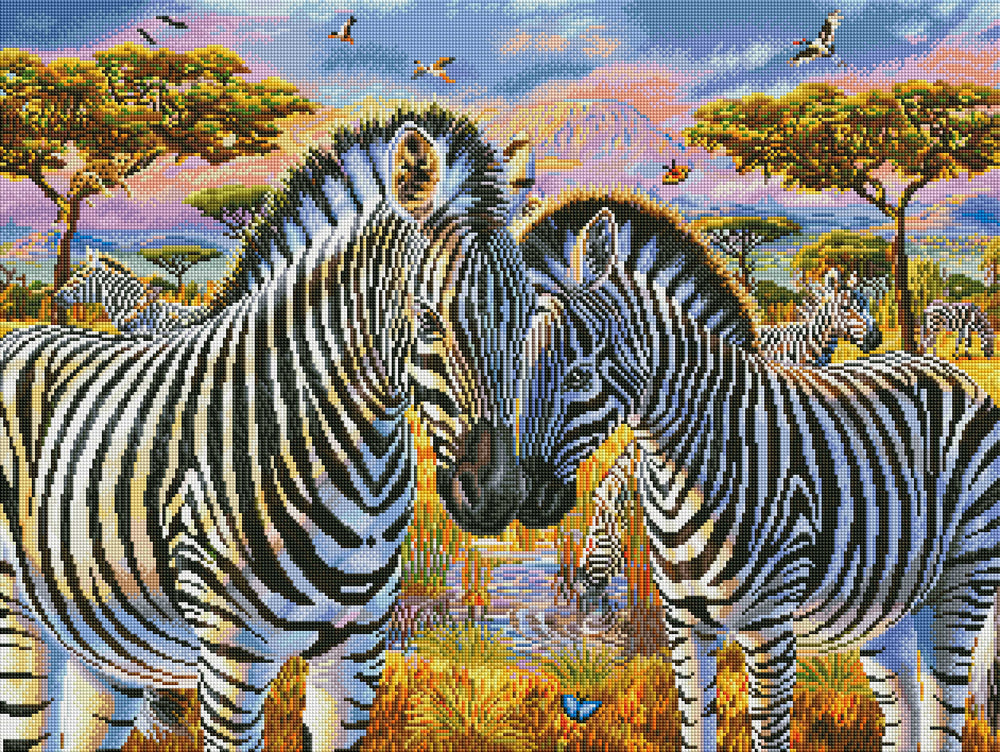 Loving Zebras